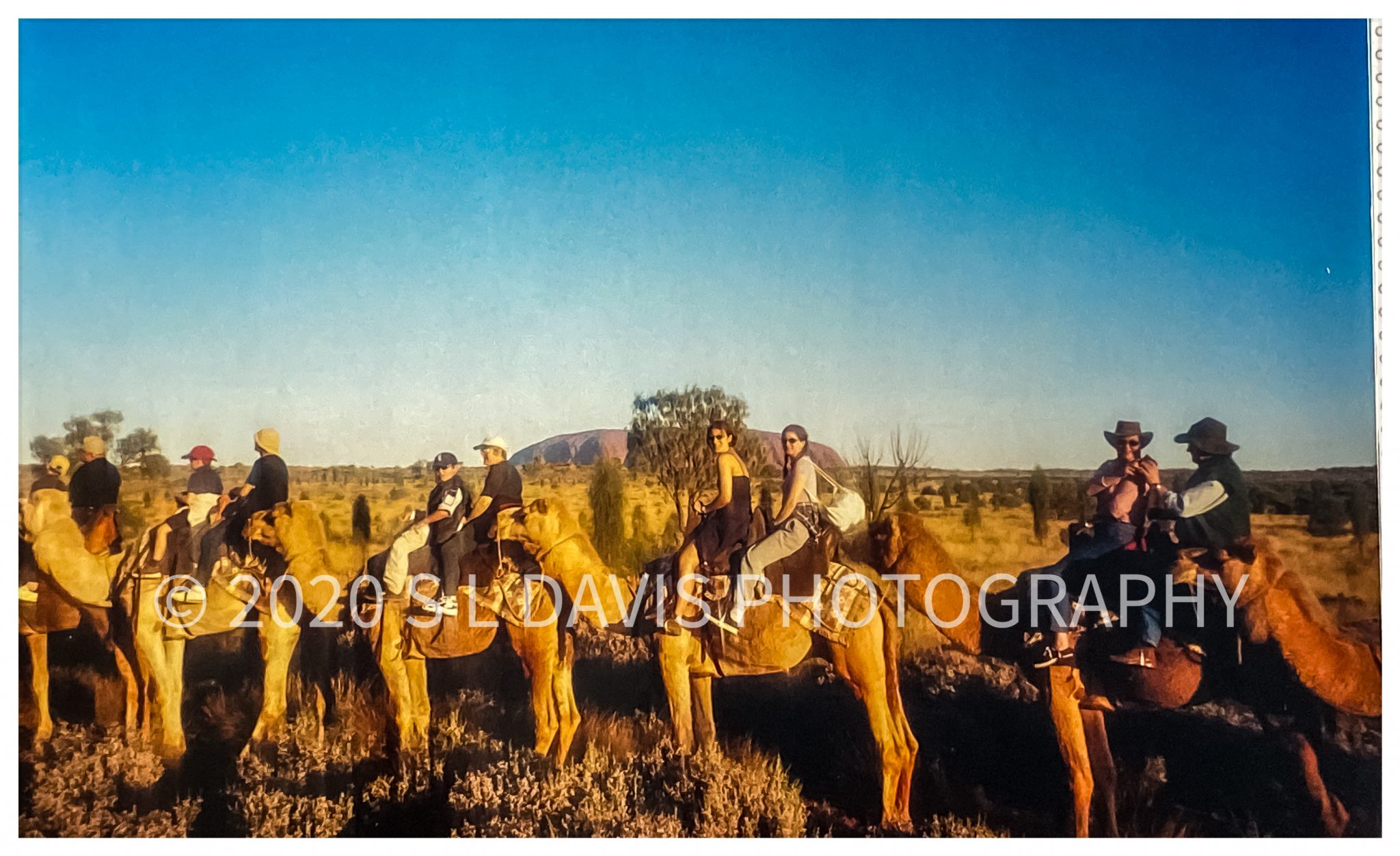 A tale of the Bush and the Outback... - S L Davis Photography